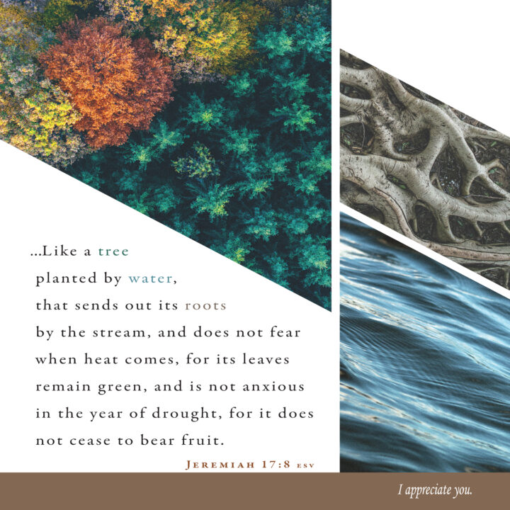 SendTheWordPH - The Gideons International in the Philippines